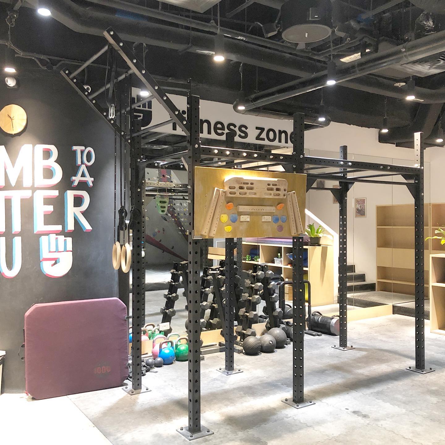 Functional Fitness Rigs